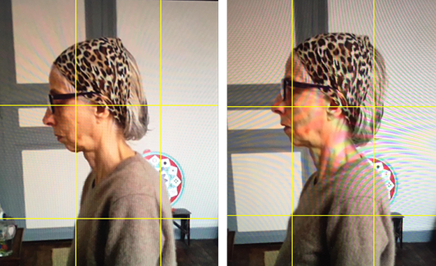 Learning the Gokhale Method Online | Gokhale Method Institute