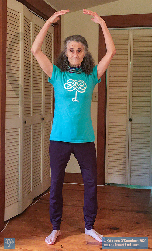 Gokhale Moving Meditation | Gokhale Method Institute