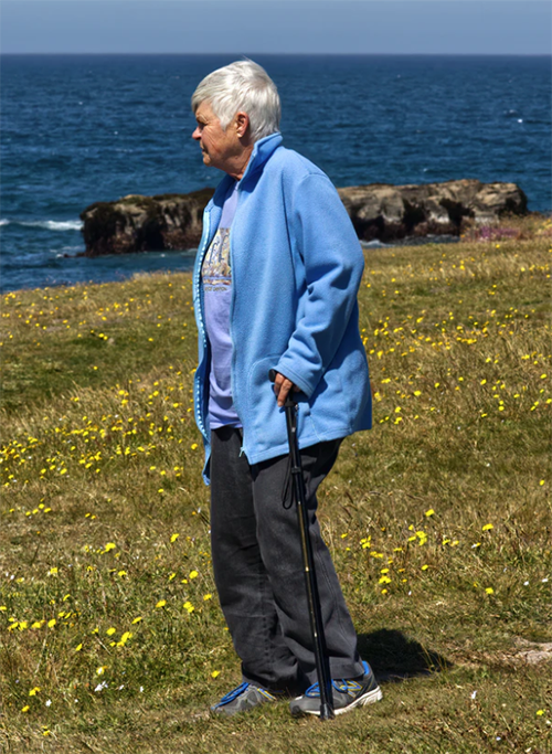 Balanced Walking in Older Age | Gokhale Method Institute
